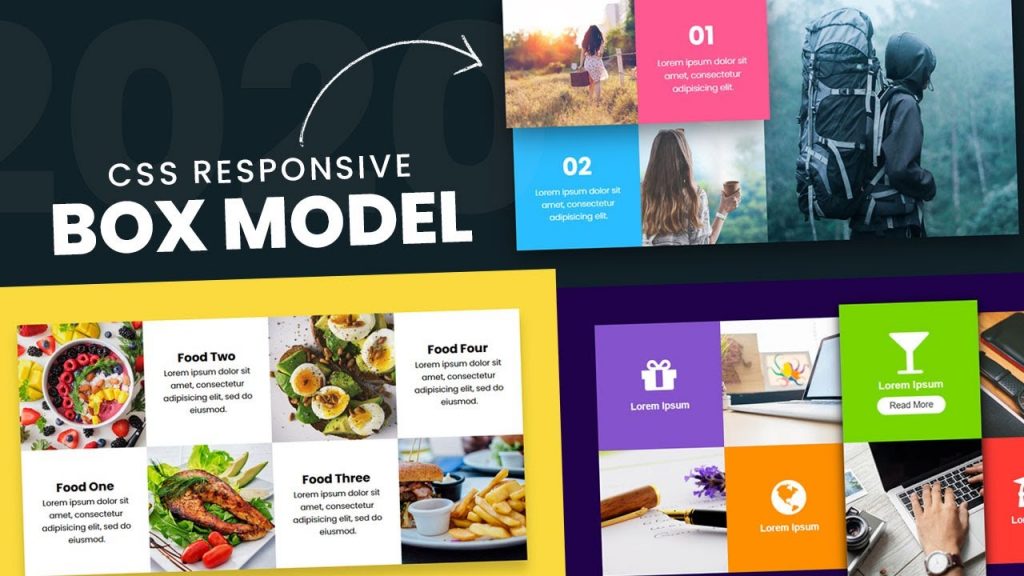 CSS Responsive Web Design Grid Advanced CSS3 Box Model Designing