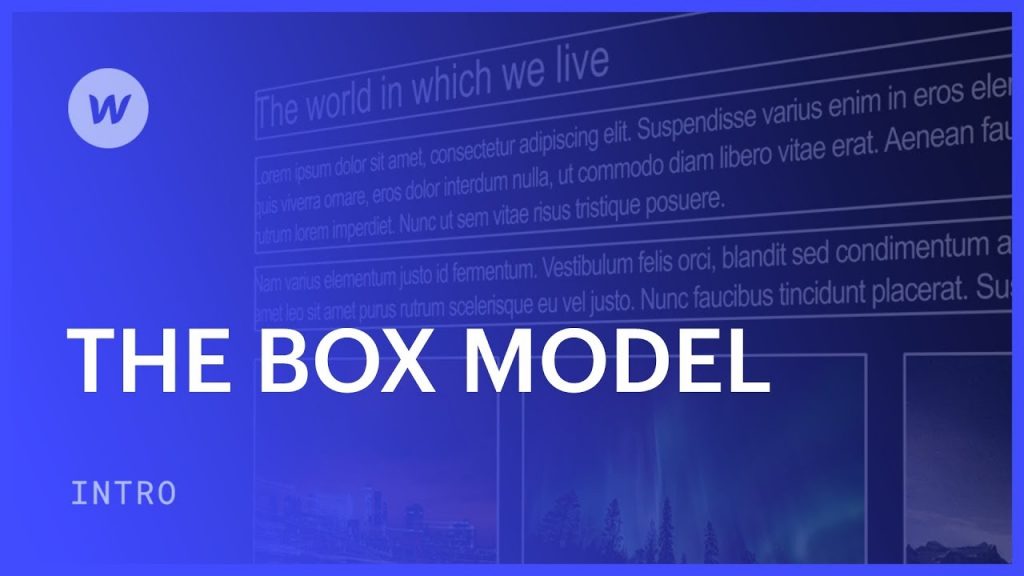 The box model for beginners web design tutorial | Designing for Uncertainty