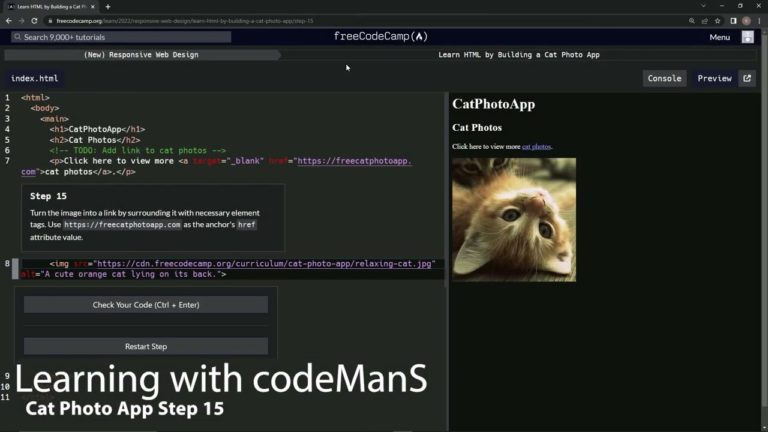 learn2code | freeCodeCamp (New) Responsive Web Design - CatPhotoApp: Step 15 | Designing for ...