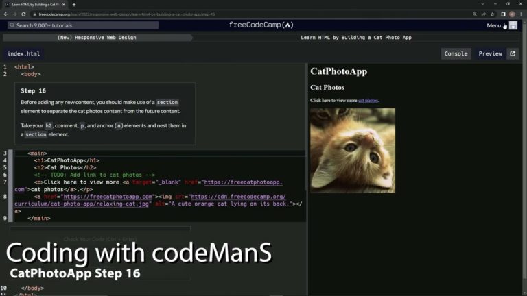 learn2code | freeCodeCamp (New) Responsive Web Design - CatPhotoApp: Step 16 | Designing for ...