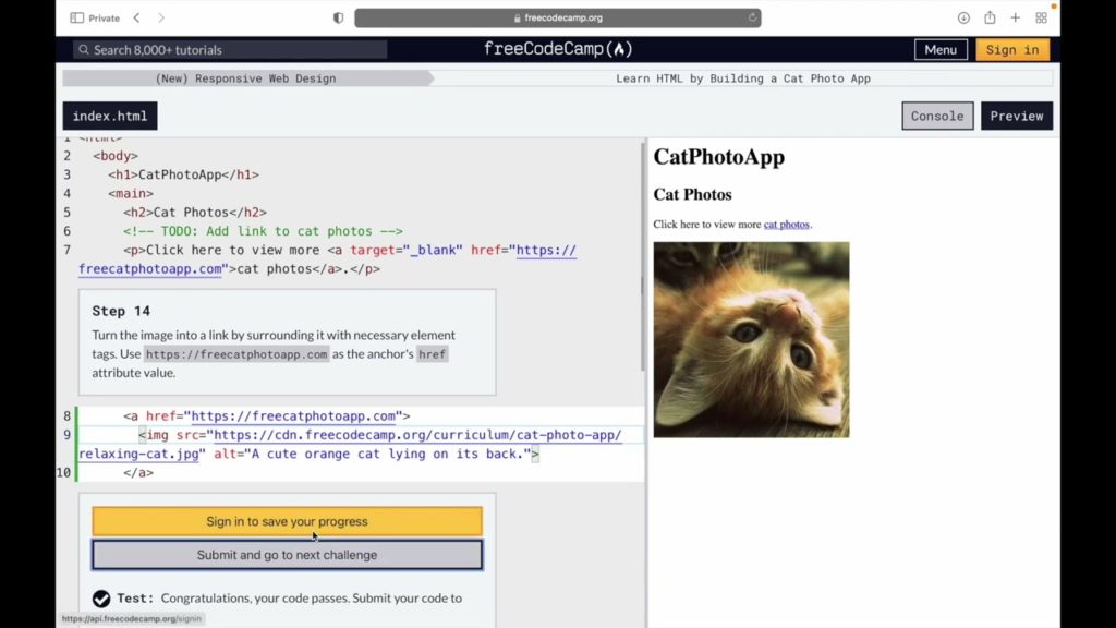 How to make a website - Responsive web design Basics for Beginners(freecodecamp tutorial step 13 ...