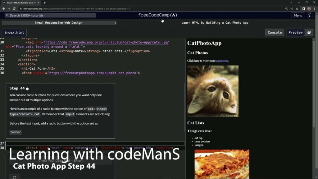 learn2code | freeCodeCamp (New) Responsive Web Design - CatPhotoApp ...